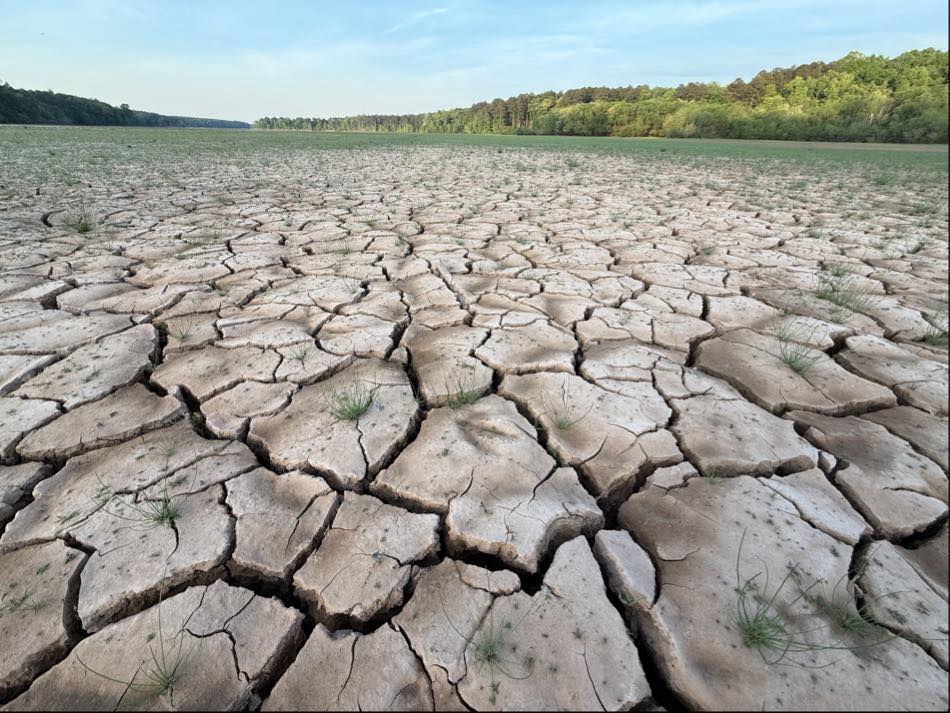 North Carolina is hot, dry, and about to have fireworks everywhere. Why ...